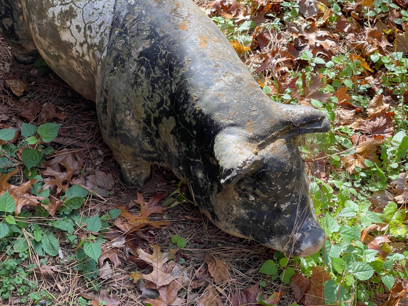 Galvanized Horse Troughs & Oracle Cards & Psalms & Concrete Pigs… oh my!